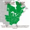 Buy Smooth Aster for Sale Online | Direct Native Plants